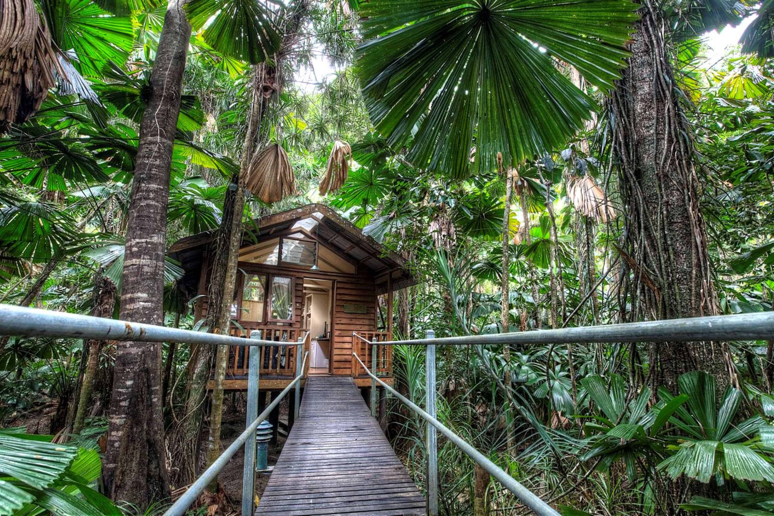 Eco-friendly Accommodations: The Future of Sustainable Tourism ...