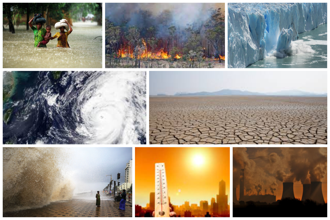 Climate Resilience: A Comprehensive Guide to Adapting to a Changing ...